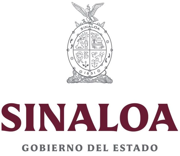 El esquema de comercialización del maíz, tiene precio piso de 5,457 ...